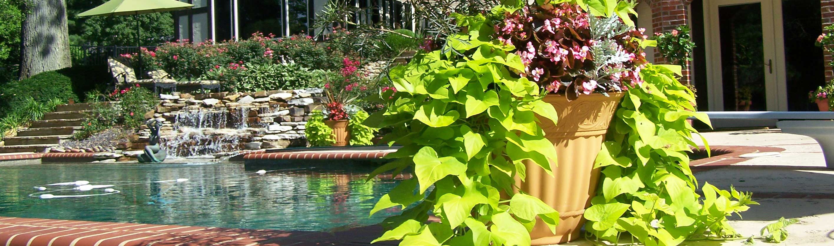 pool-garden - SFP Landscaping